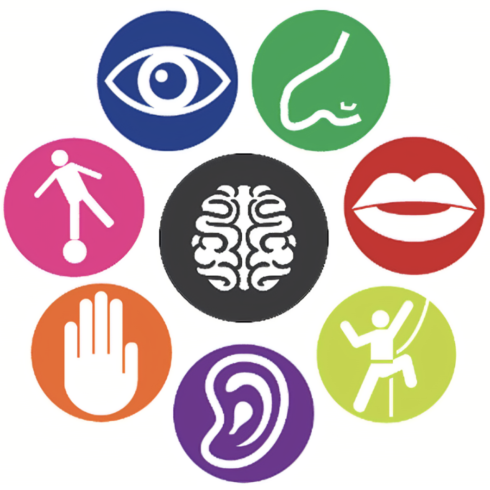 A Guide to Understanding and Supporting Your Child’s Sensory System ...